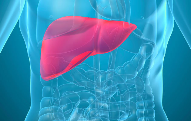 Top 15 Ways to Protect Your Liver | Just-Health.net